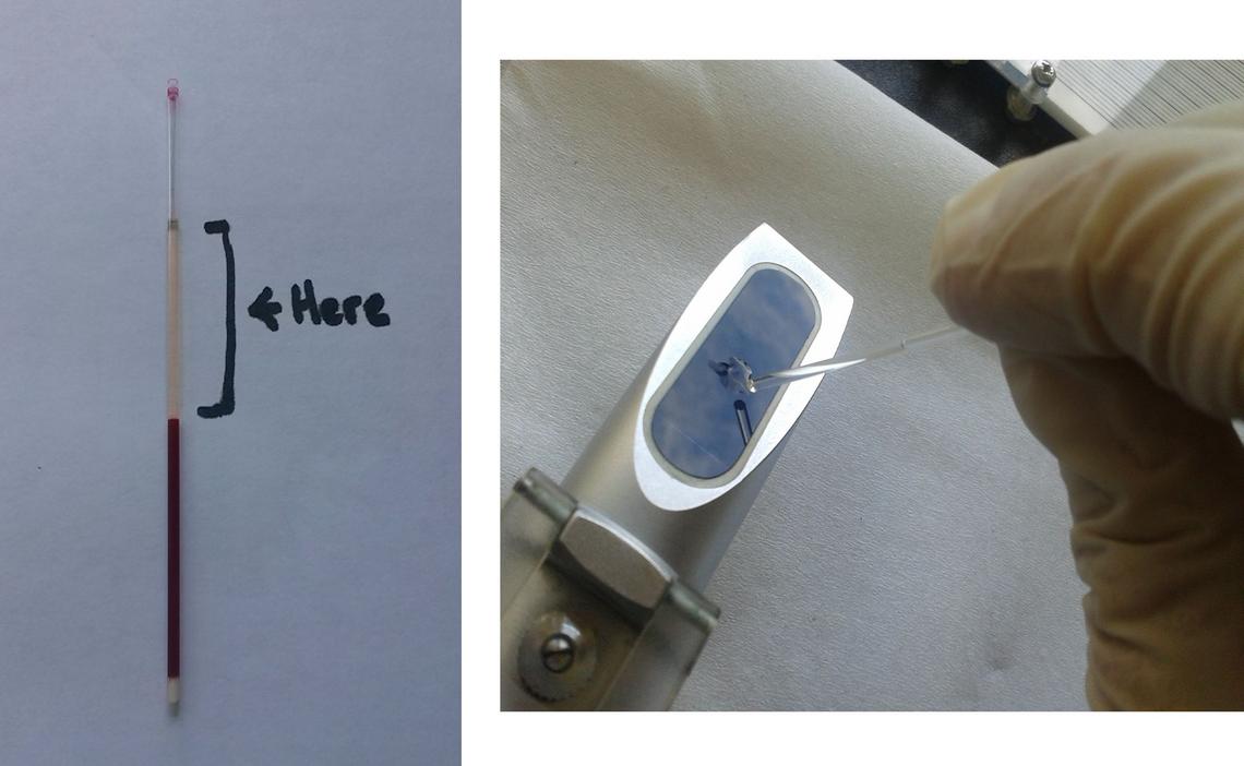 Ten top tips to make the most of your practice laboratory by Anji Jonas ...