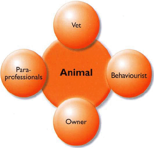 Behavioural considerations in veterinary practice by Loni Loftus ...