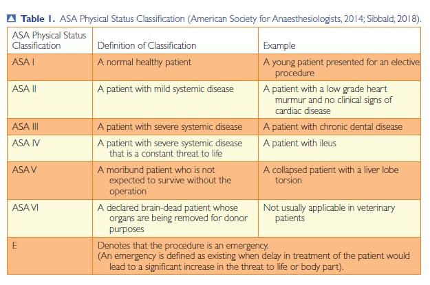 A summary of rabbit anaesthesia – part I: preparation and pre-operative ...