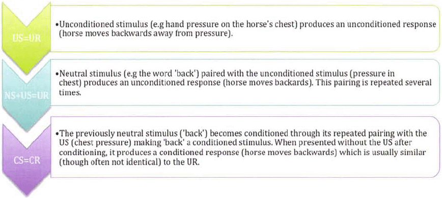 Behaviour modification and positive training techniques- an equine case ...