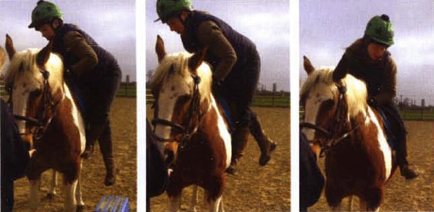 Behaviour modification and positive training techniques- an equine case ...