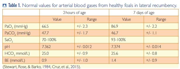 Utilising arterial blood gas analysis in the sick equine neonate by ...