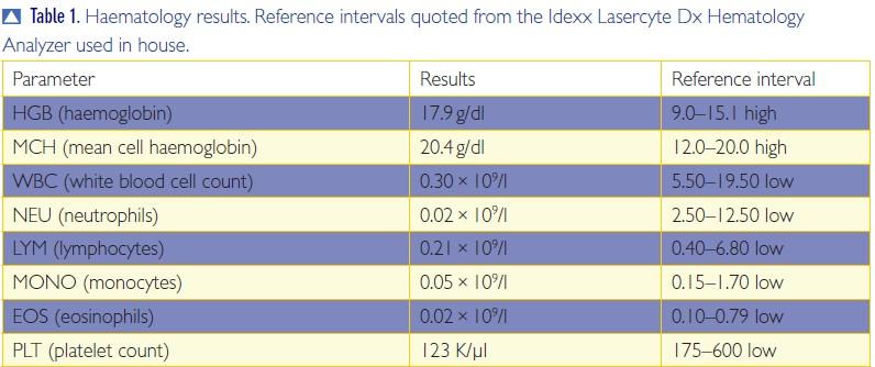 Urinary obstruction in a feline patient: a reflective case study by ...