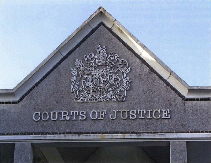 Jury service by Nicky Ackerley - British Veterinary Nursing ...