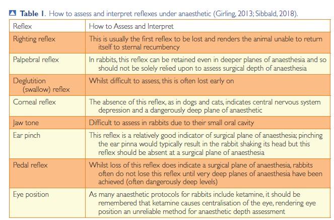A summary of rabbit anaesthesia – part II: intra-operative nursing and ...