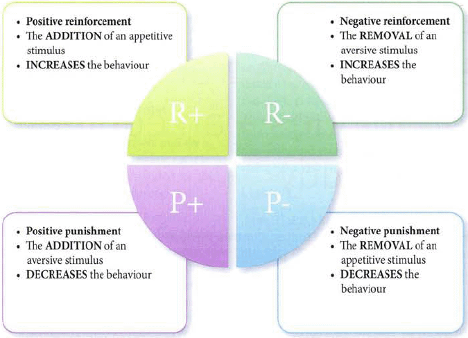 Behaviour modification and positive training techniques- an equine case ...