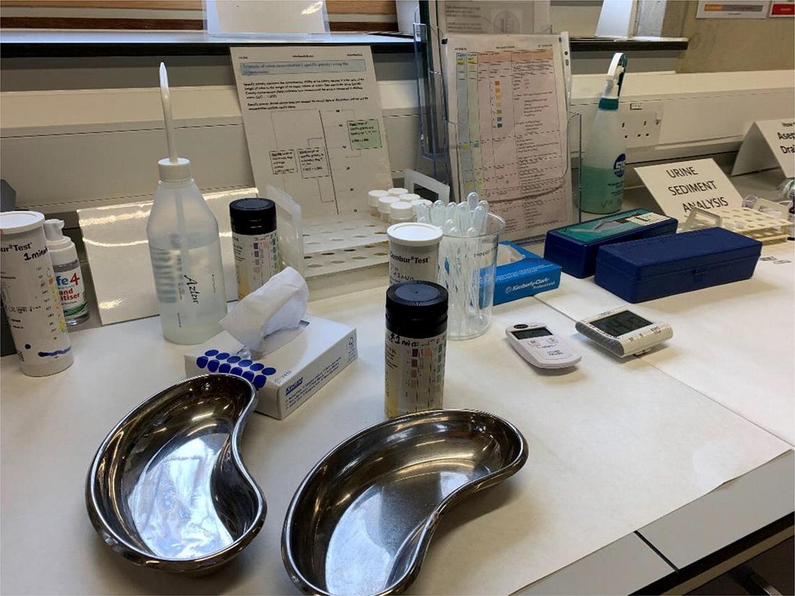 OSCEs: do you know how? by Evie Yon - British Veterinary Nursing ...