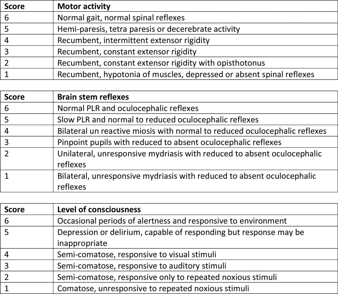 The consequences of raised intracranial pressure in dogs and cats by ...