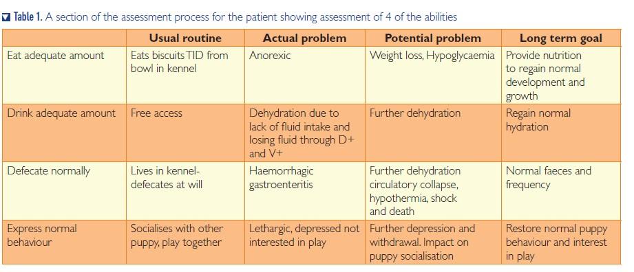 The use of care plans in veterinary nursing: a recently qualified RVN’s ...