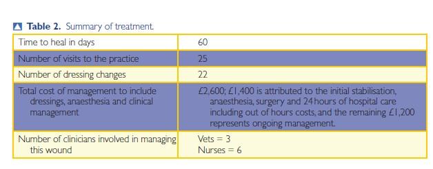 Evaluating the healing process and the need for a ‘wound nurse’ in the ...