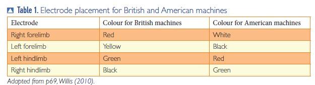ECG interpretation by Charlotte Pace - British Veterinary Nursing ...