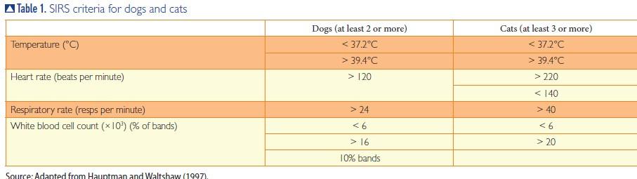 Introduction of a sepsis bundle in the ICU and ER: a case-based ...