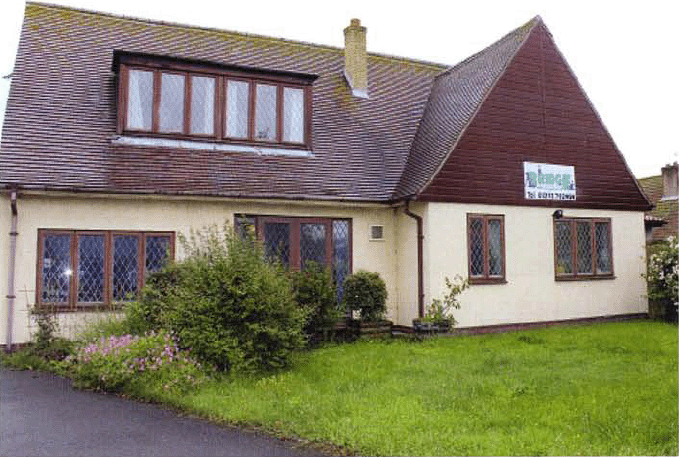 In pursuit of excellence by Scott Parry - British Veterinary Nursing ...