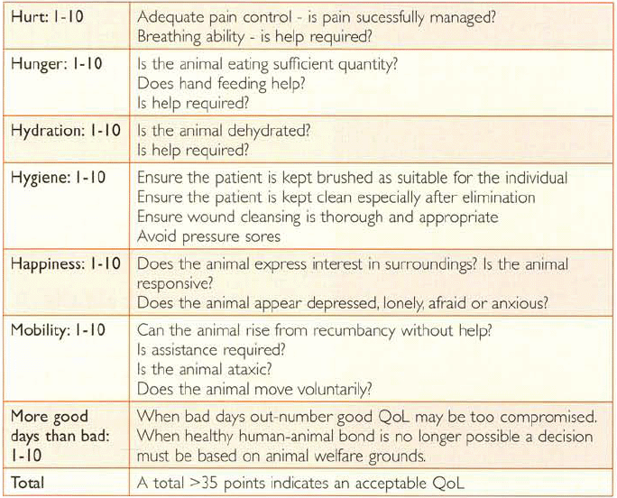 Equine quality of life assessment: a review of protocol and practice by ...
