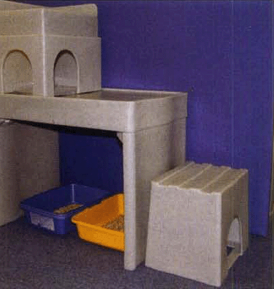 Helping cats cope with stress in veterinary practice by Nicky Trevorrow ...