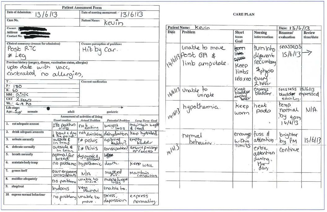 Implementation of nursing care plans: a review of three cases - Part 2 ...