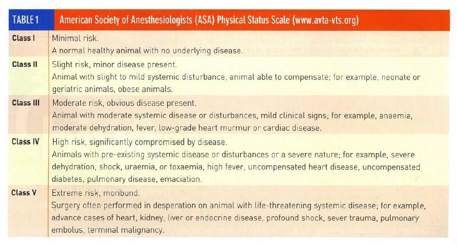 Cardiopulmonary cerebral resuscitation - ABC vs. CAB by Samantha ...