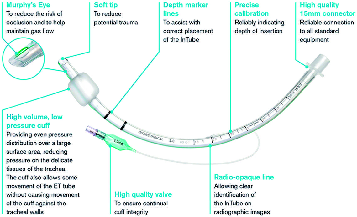 Understanding and improving airway management in companion animals ...