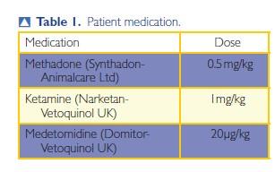 Evaluating the healing process and the need for a ‘wound nurse’ in the ...