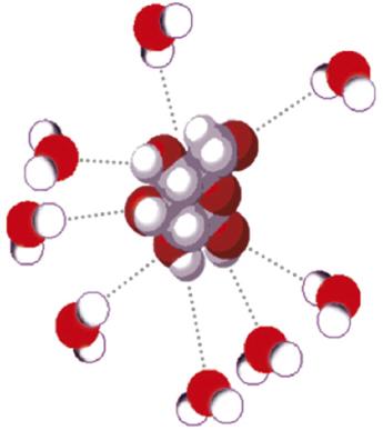 Basics of biochemistry by James Colver - British Veterinary Nursing ...