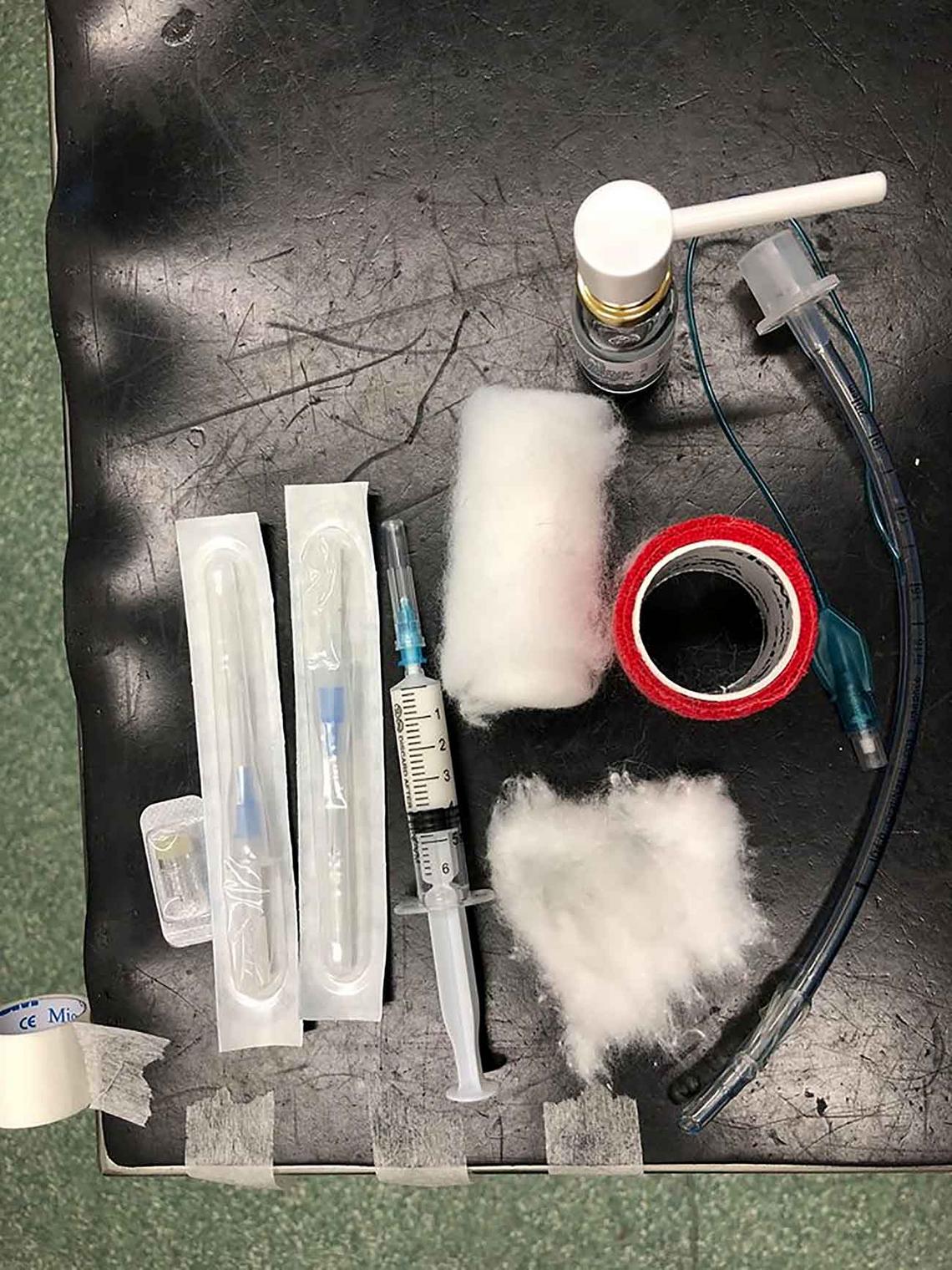 Urinary obstruction in a feline patient: a reflective case study by ...