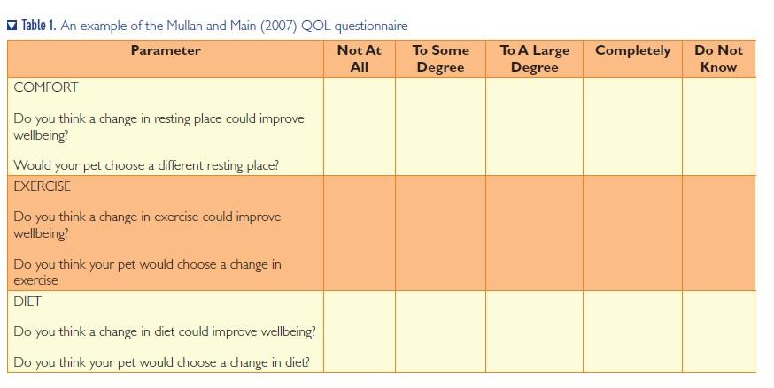 Nursing the senior patient by Amy Thornley - British Veterinary Nursing ...