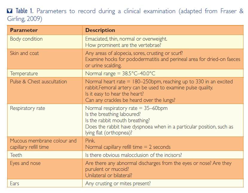 Maintaining standards of welfare in hospitalised rabbits by Laura ...