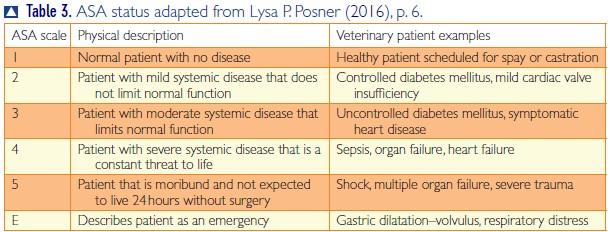Brachycephalic anaesthesia, part 1: the pre-anaesthetic period by ...