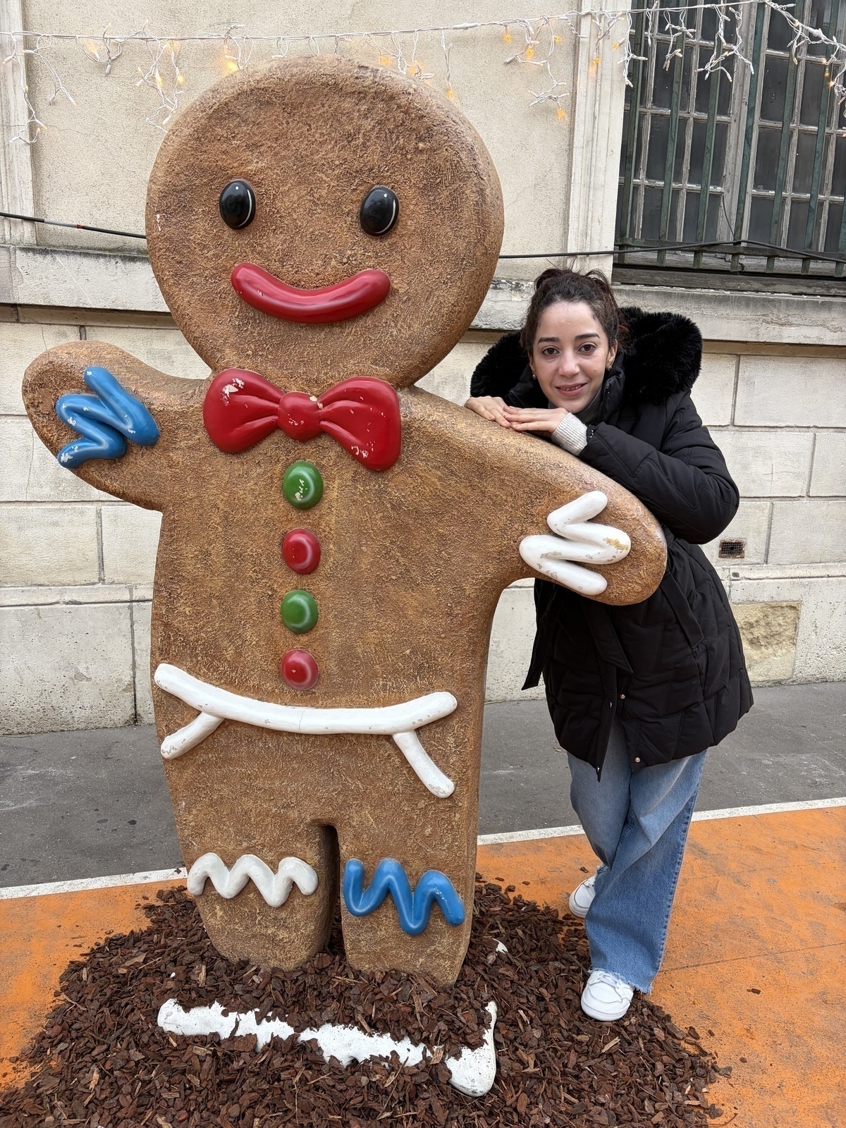 Jeune fille au pair à saint-denis, annonce déposée par Thanina